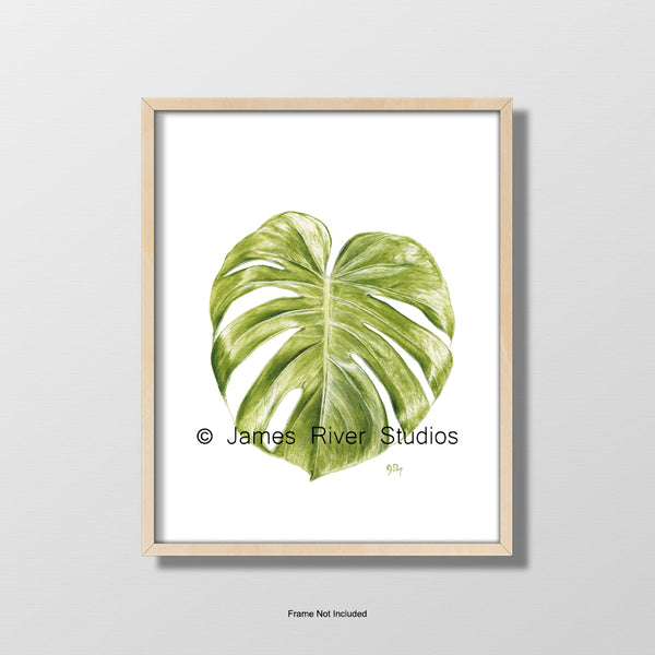 Monstera Print - Tropical Leaf Art - James River Studios