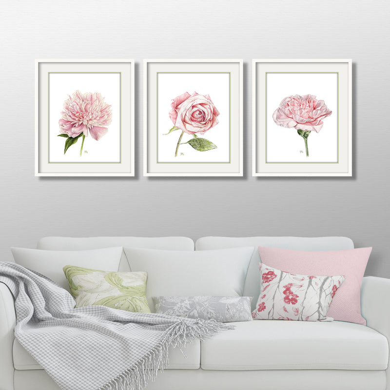 Flower, Floral and Botanical Prints By James River Studios