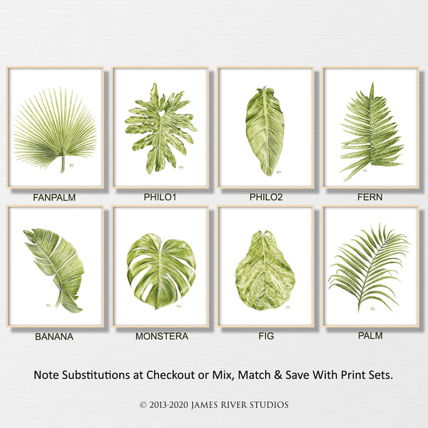 Monstera Print - Tropical Leaf Art - James River Studios